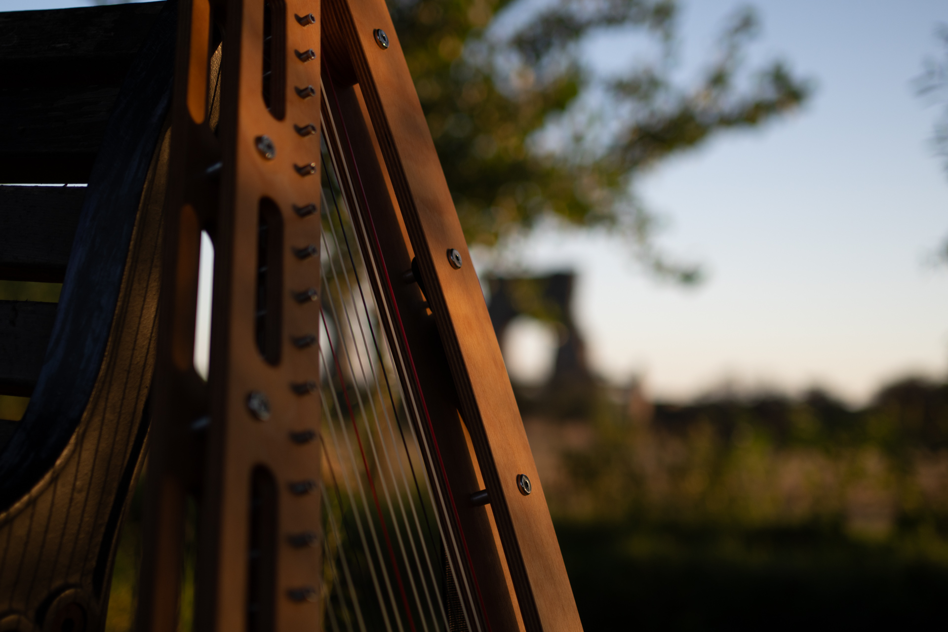 Harp Tuesday Weekends AND Season 5 of Harpist in the Wild start today ...